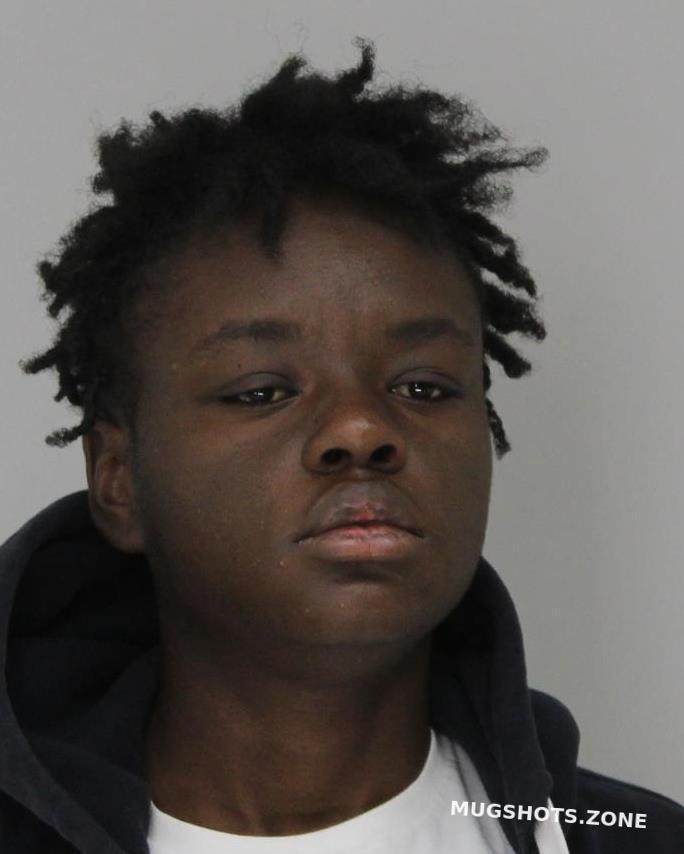 COOK EBONY 04/14/2023 - Dallas County Mugshots Zone