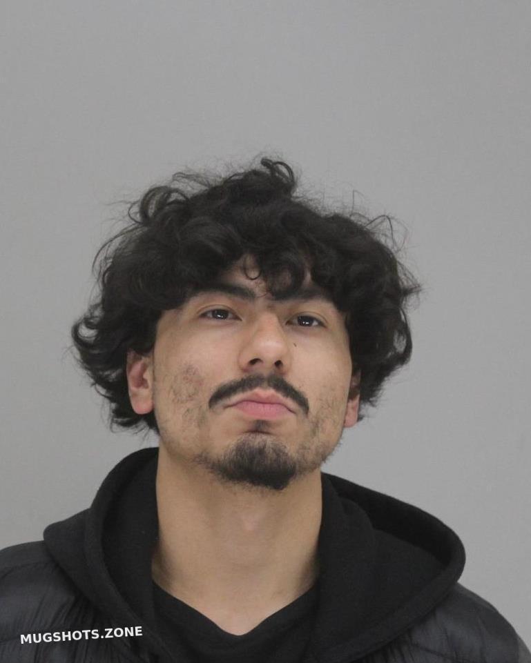 CASTILLEJA MATTHEW 06/16/2023 - Dallas County Mugshots Zone