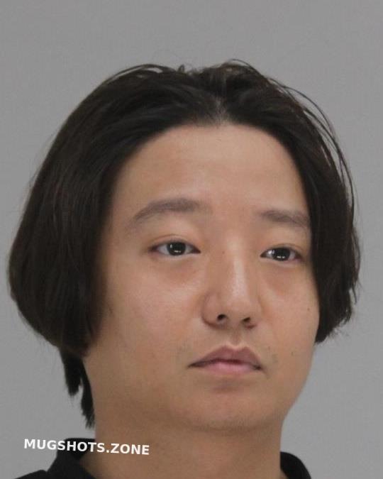 YU HONG 06/18/2023 - Dallas County Mugshots Zone