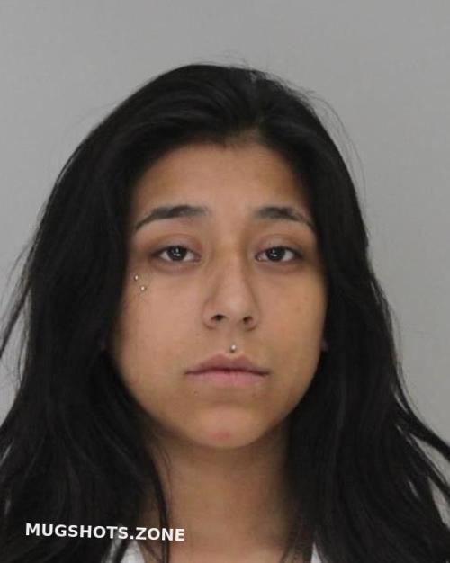 PEREZ STACEY 06/19/2023 - Dallas County Mugshots Zone