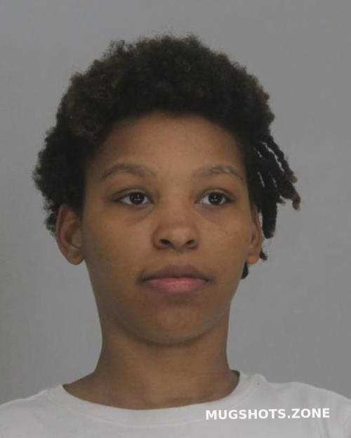 FIELDS DESTINY 06/20/2023 - Dallas County Mugshots Zone