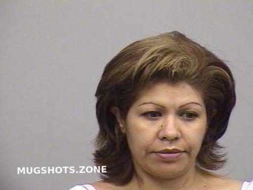 SALINAS DEBBIE 07/21/2023 - Dallas County Mugshots Zone