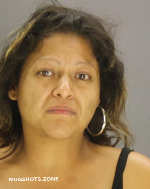 CASTILLO CRISTAL 08/13/2023 - Dallas County Mugshots Zone