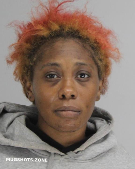 ALLISON GABRIELLE 08/23/2023 - Dallas County Mugshots Zone