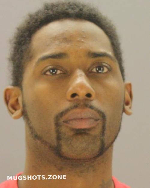 NICHOLSON MERCEDES 08/24/2023 - Dallas County Mugshots Zone