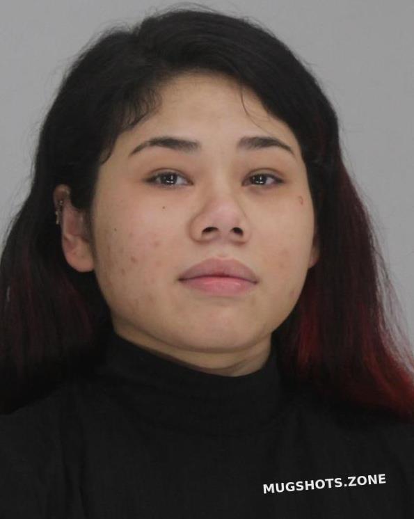 LUU NANCY 09/11/2023 - Dallas County Mugshots Zone