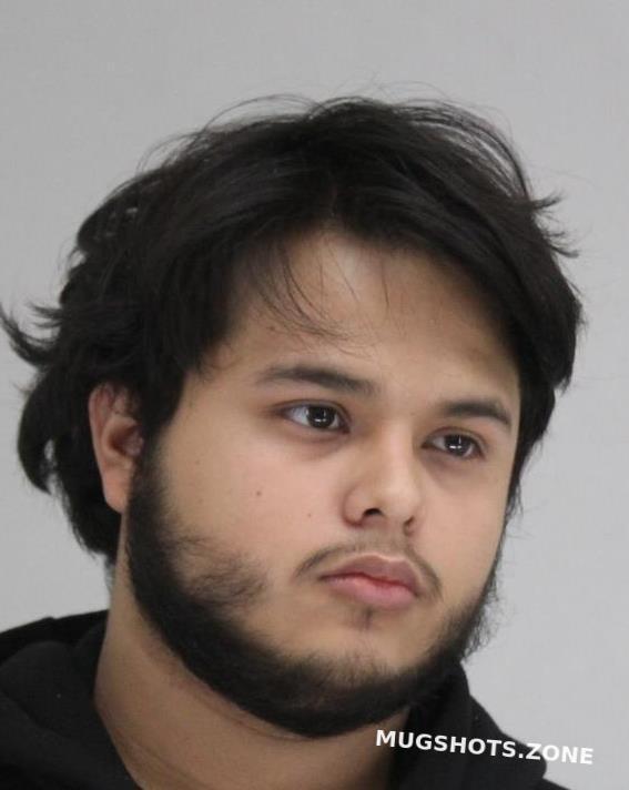 SALINAS GABRIEL 11/01/2023 - Dallas County Mugshots Zone