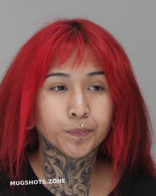 Ramirezvaldez Dianna 11 17 2023 Dallas County Mugshots Zone