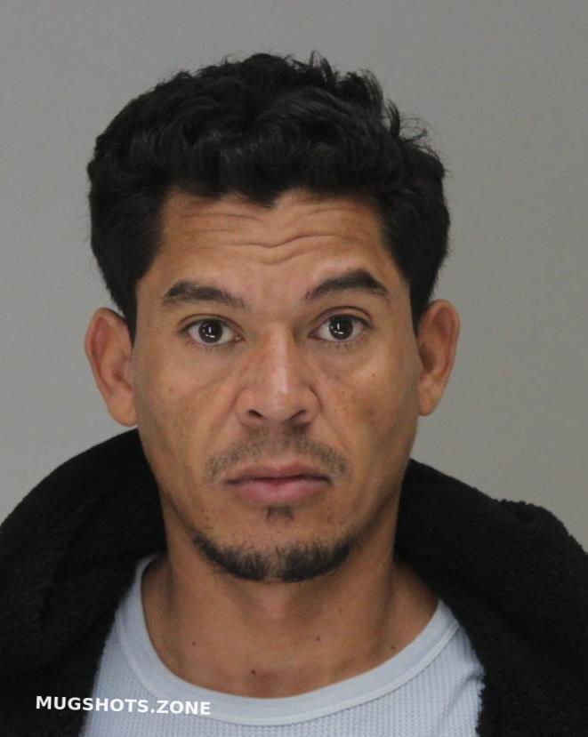 RIVAS OLGER 11/20/2023 - Dallas County Mugshots Zone