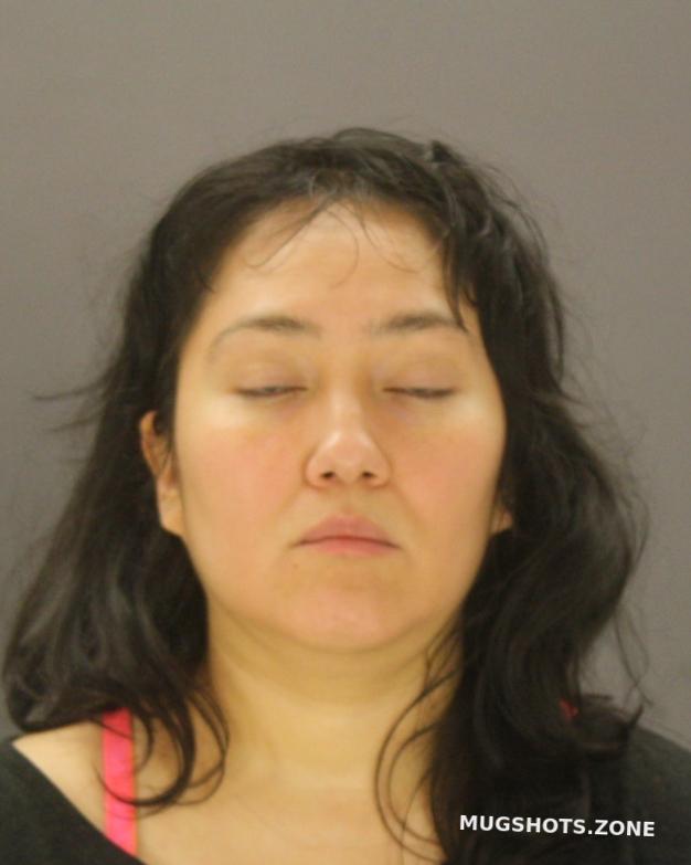 BUSTAMANTE JANET 12/10/2023 - Dallas County Mugshots Zone