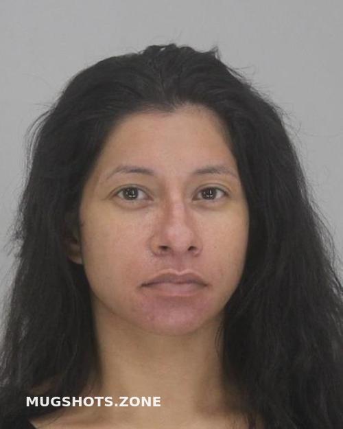 ALVAREZ LYDIA 01/10/2024 - Dallas County Mugshots Zone