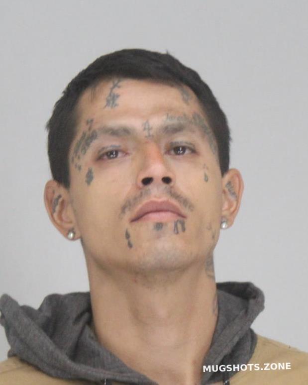 TRUJILLO LUIS 02/16/2024 - Dallas County Mugshots Zone
