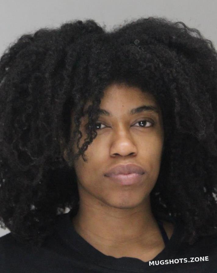 DAVIS AMBER 02/27/2024 - Dallas County Mugshots Zone