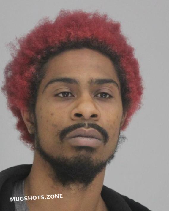 ANDERSON XAVIER 02/28/2024 - Dallas County Mugshots Zone