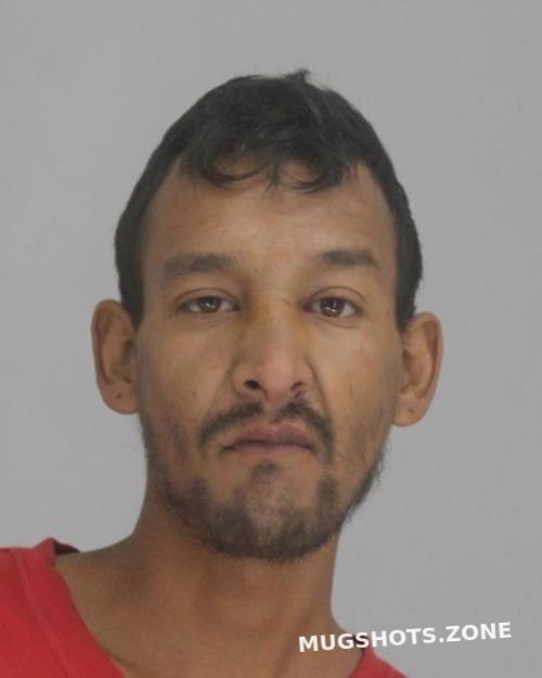 CASTILLO HECTOR 02/29/2024 - Dallas County Mugshots Zone