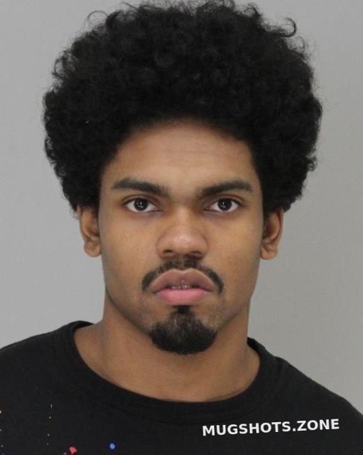 DAVID RINGO RONNIE 03/26/2024 - Dallas County Mugshots Zone