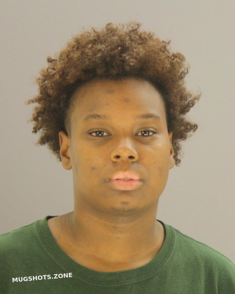 RICHARDSON TIOSHA 03/28/2024 - Dallas County Mugshots Zone