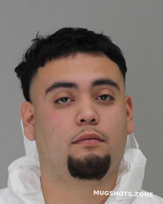 Arellano Raul 03 29 2024 Dallas County Mugshots Zone