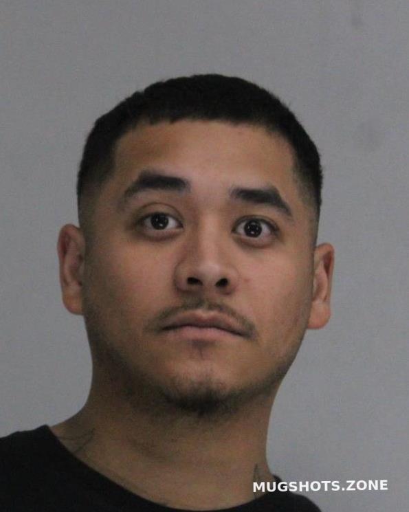 LOYOLA ALFREDO 04/08/2024 - Dallas County Mugshots Zone