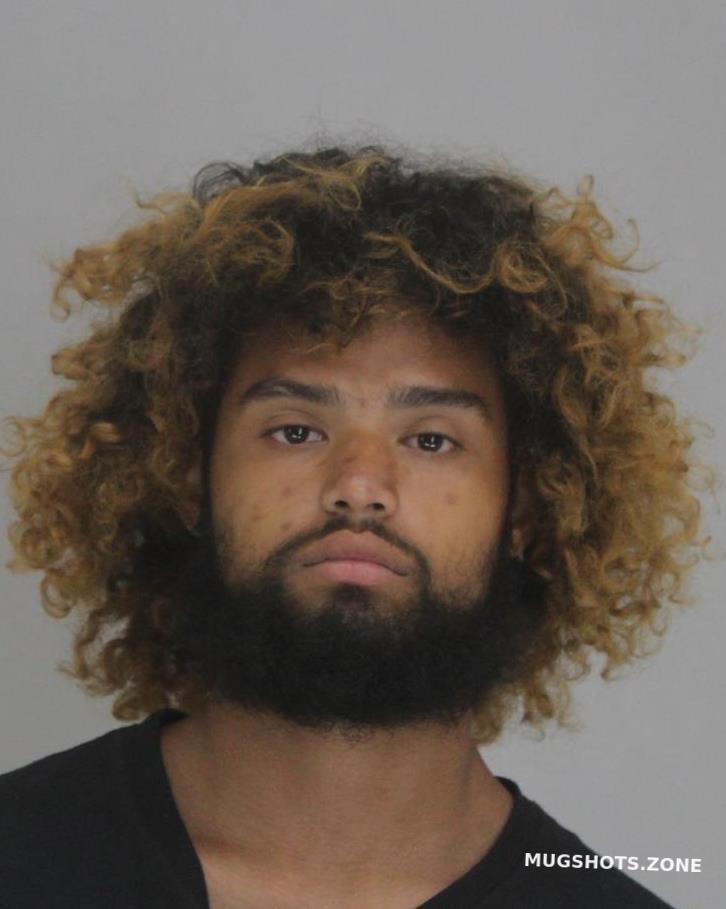 COLLINS RAYLAND 04/13/2024 - Dallas County Mugshots Zone