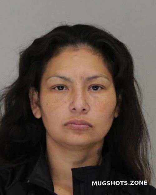 Salinas Anna 04 18 2024 Dallas County Mugshots Zone
