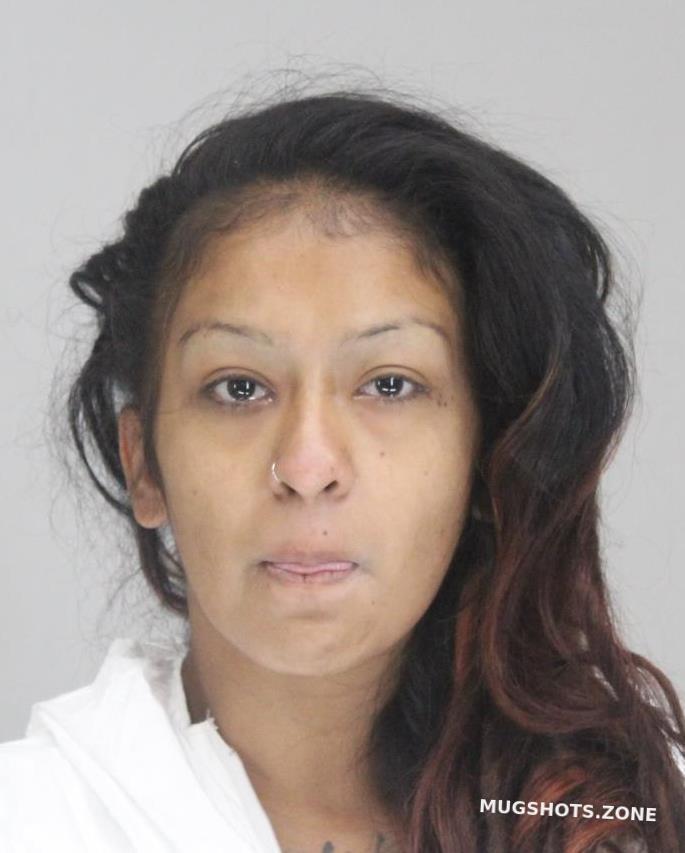ROBLES ELIZABETH 04/18/2024 - Dallas County Mugshots Zone
