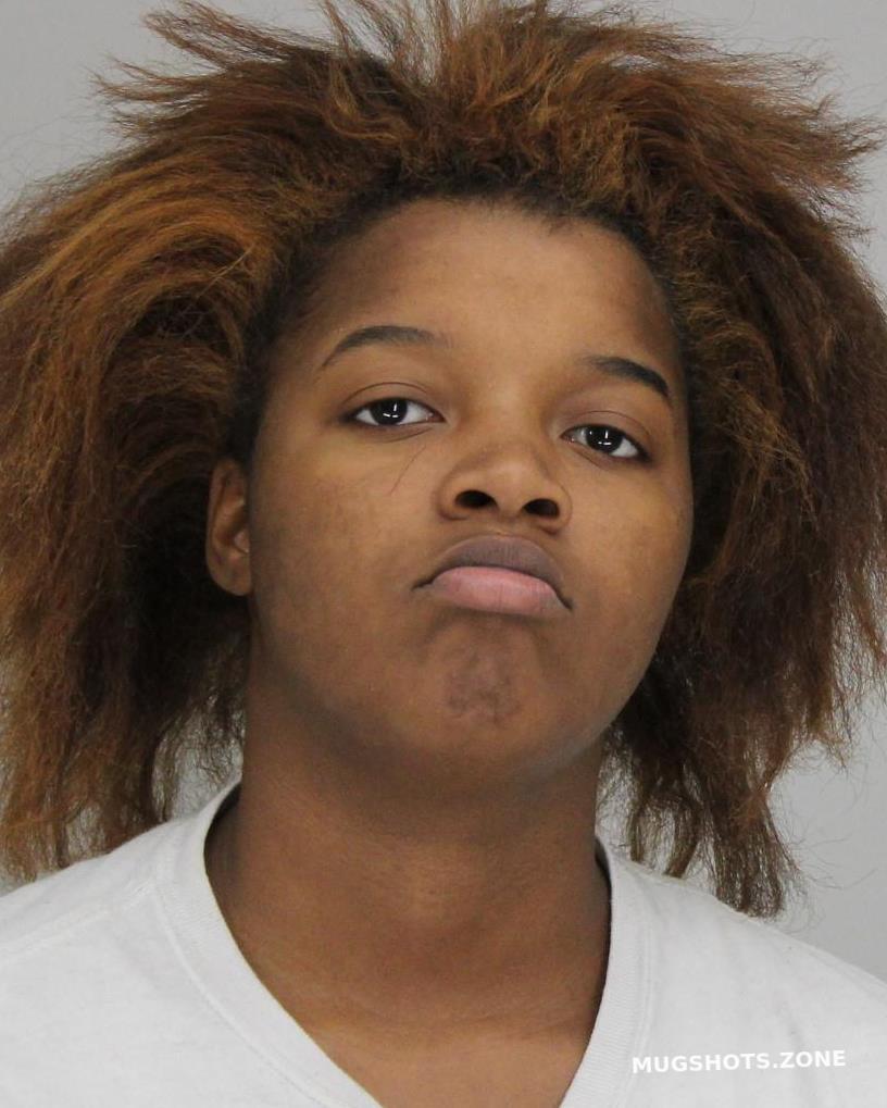 STEWART KIERRA 04/28/2024 - Dallas County Mugshots Zone
