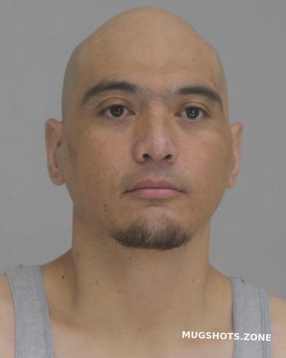 SANCHEZ NICHOLAS 06/04/2024 - Dallas County Mugshots Zone