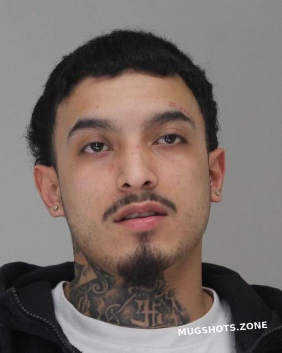 RANGEL ANDY 07/03/2024 - Dallas County Mugshots Zone