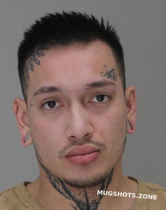 ROBLES ALFONSO 07/10/2024 - Dallas County Mugshots Zone