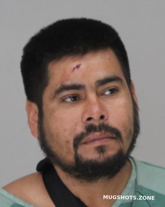 CASTILLO RENEE 07/15/2024 - Dallas County Mugshots Zone