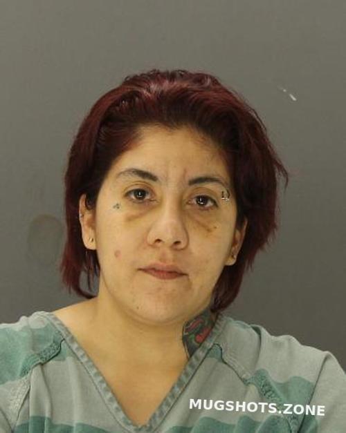 MORALES KATHY 07/19/2024 - Dallas County Mugshots Zone