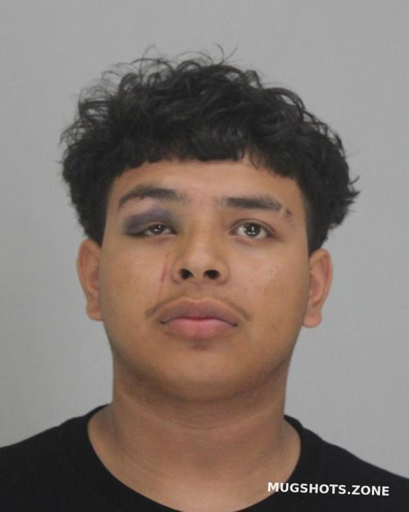 CASTRO RUBEN 07/29/2024 - Dallas County Mugshots Zone