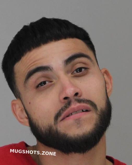 LAZO NICHOLAS 07/31/2024 - Dallas County Mugshots Zone
