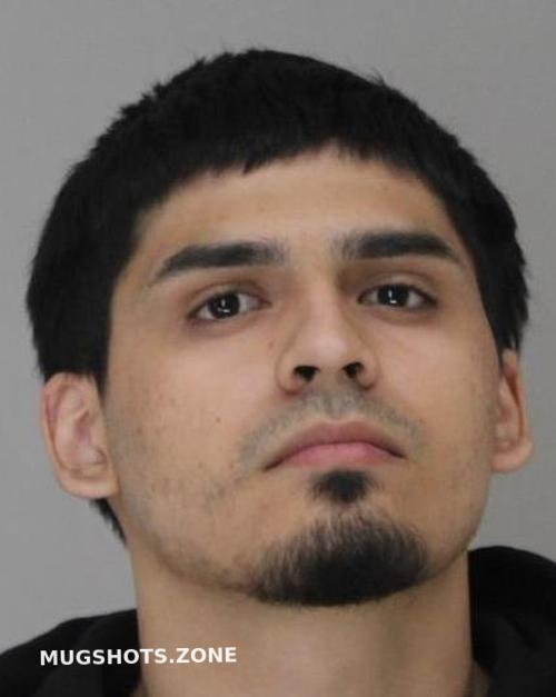 OCHOA RAYMOND 08/01/2024 - Dallas County Mugshots Zone