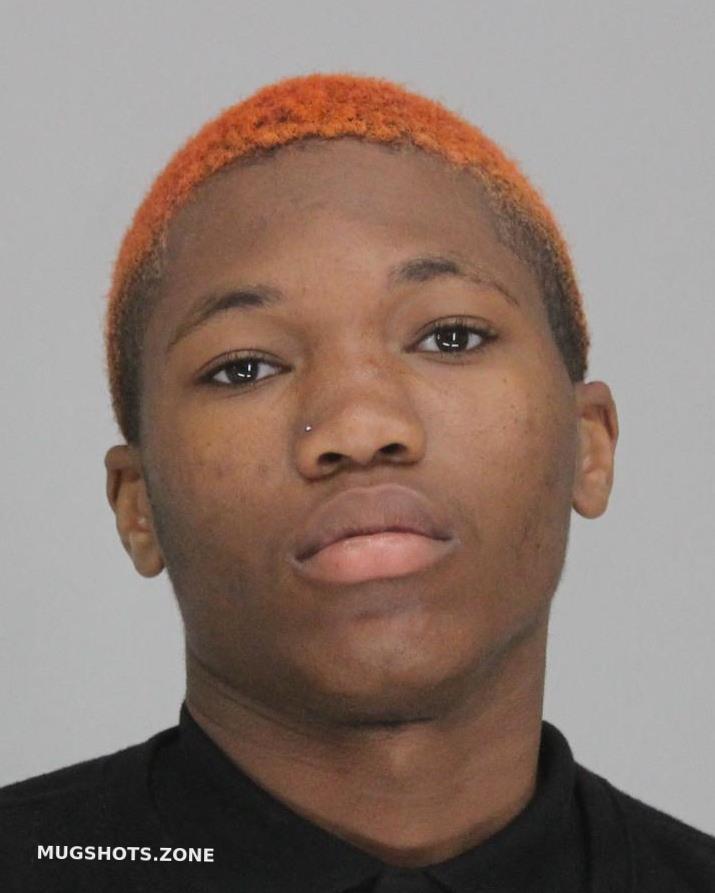 SWAN CAMERON 08/09/2024 - Dallas County Mugshots Zone