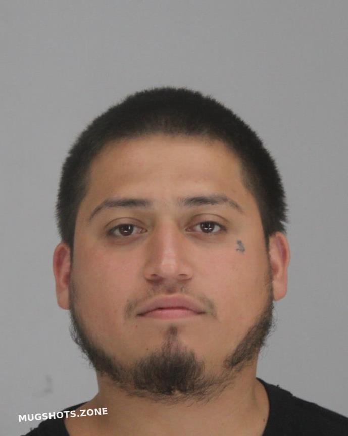 OVALLE NATHAN 08/11/2024 - Dallas County Mugshots Zone