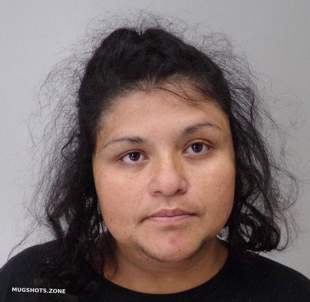 ALVARADO DARCY 08/13/2024 - Dallas County Mugshots Zone