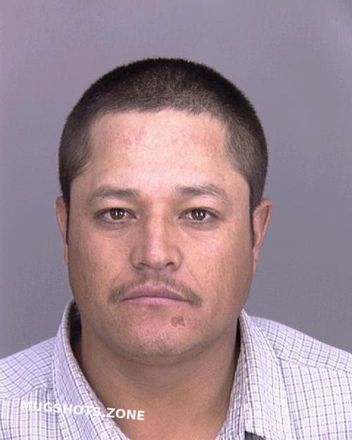 BAEZ DAVID 08/15/2024 - Dallas County Mugshots Zone