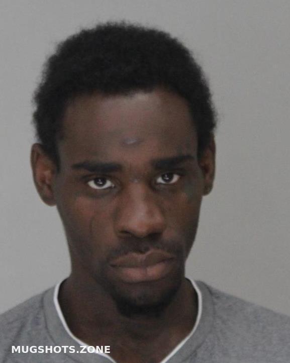 TINSLEY CAMERON 08/17/2024 - Dallas County Mugshots Zone