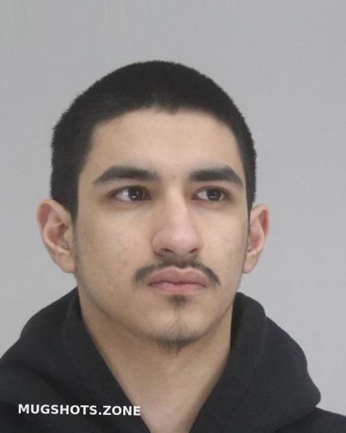 ROMERO NICOLAS 08/19/2024 - Dallas County Mugshots Zone