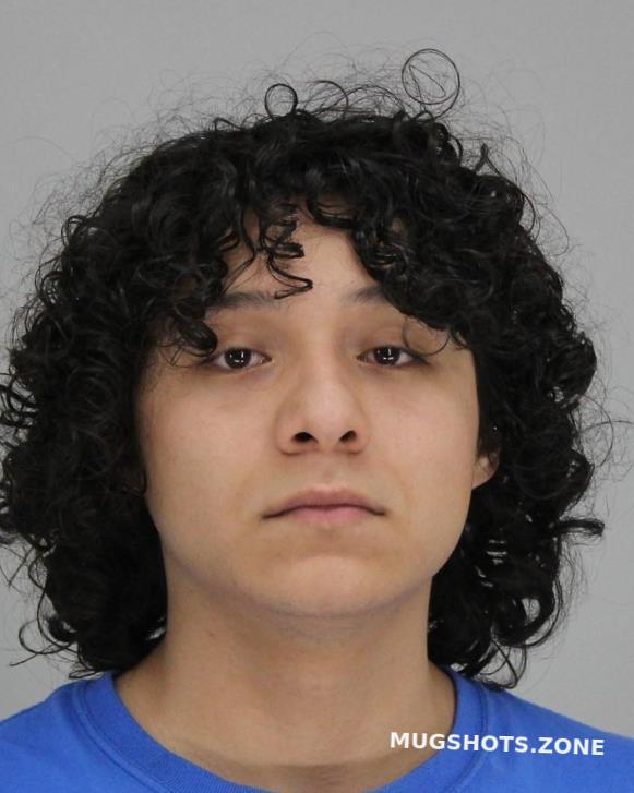 CASTILLO ANDREW 08/20/2024 - Dallas County Mugshots Zone