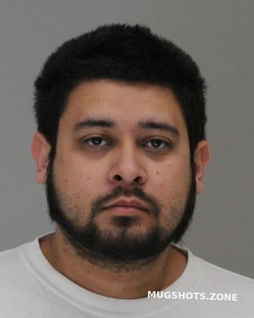 RUBIO STEPHEN 08/20/2024 - Dallas County Mugshots Zone