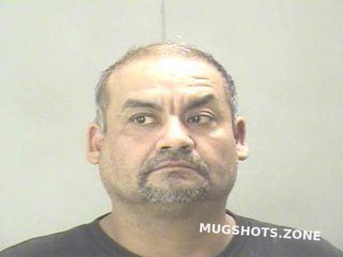 CEDILLO RENE 08/21/2024 - Dallas County Mugshots Zone