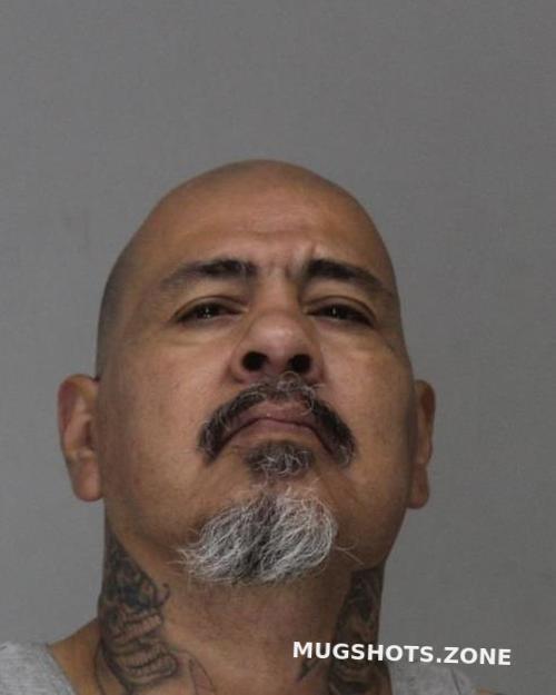 TEJEDA RENE 09/01/2024 - Dallas County Mugshots Zone