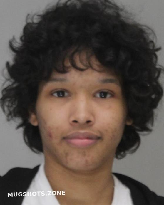 BARRIENTOS ALEXIS 09/14/2024 - Dallas County Mugshots Zone