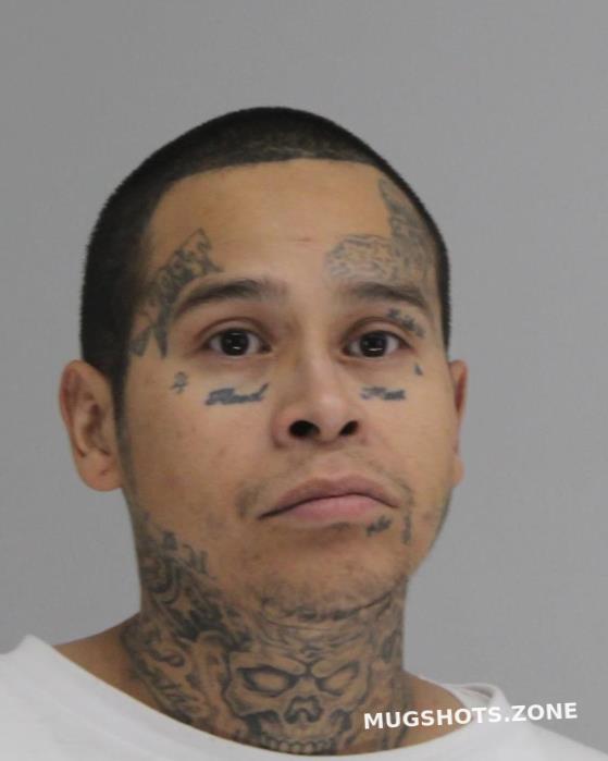 TREJO DANIEL 09/24/2024 - Dallas County Mugshots Zone