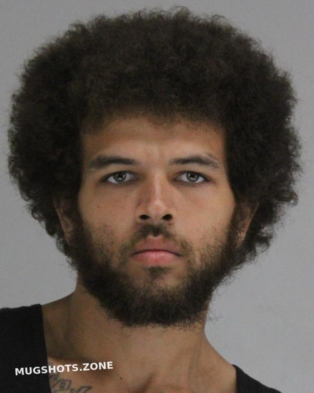Mcgee Justice 10 04 2024 Dallas County Mugshots Zone