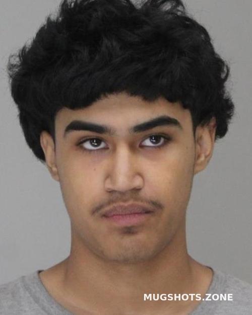 ORTEGA DANIEL 10/12/2024 - Dallas County Mugshots Zone