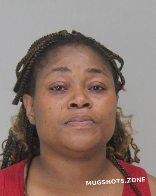 ALAWODE OLAIDE 10/27/2024 - Dallas County Mugshots Zone